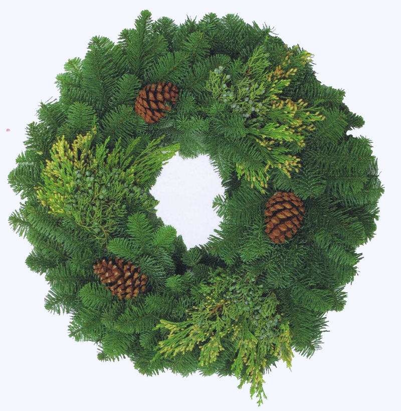 Homepage - My Locust Point